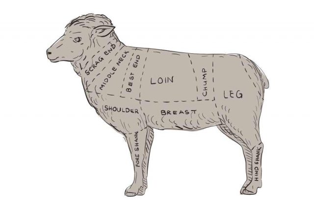 Lamb Cuts Explained: How To Cook Different Cuts Of Lamb