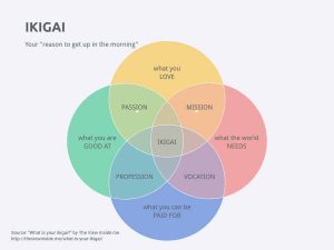 How To Find Your Ikigai And Do The Work You Love With Katrin Mantay